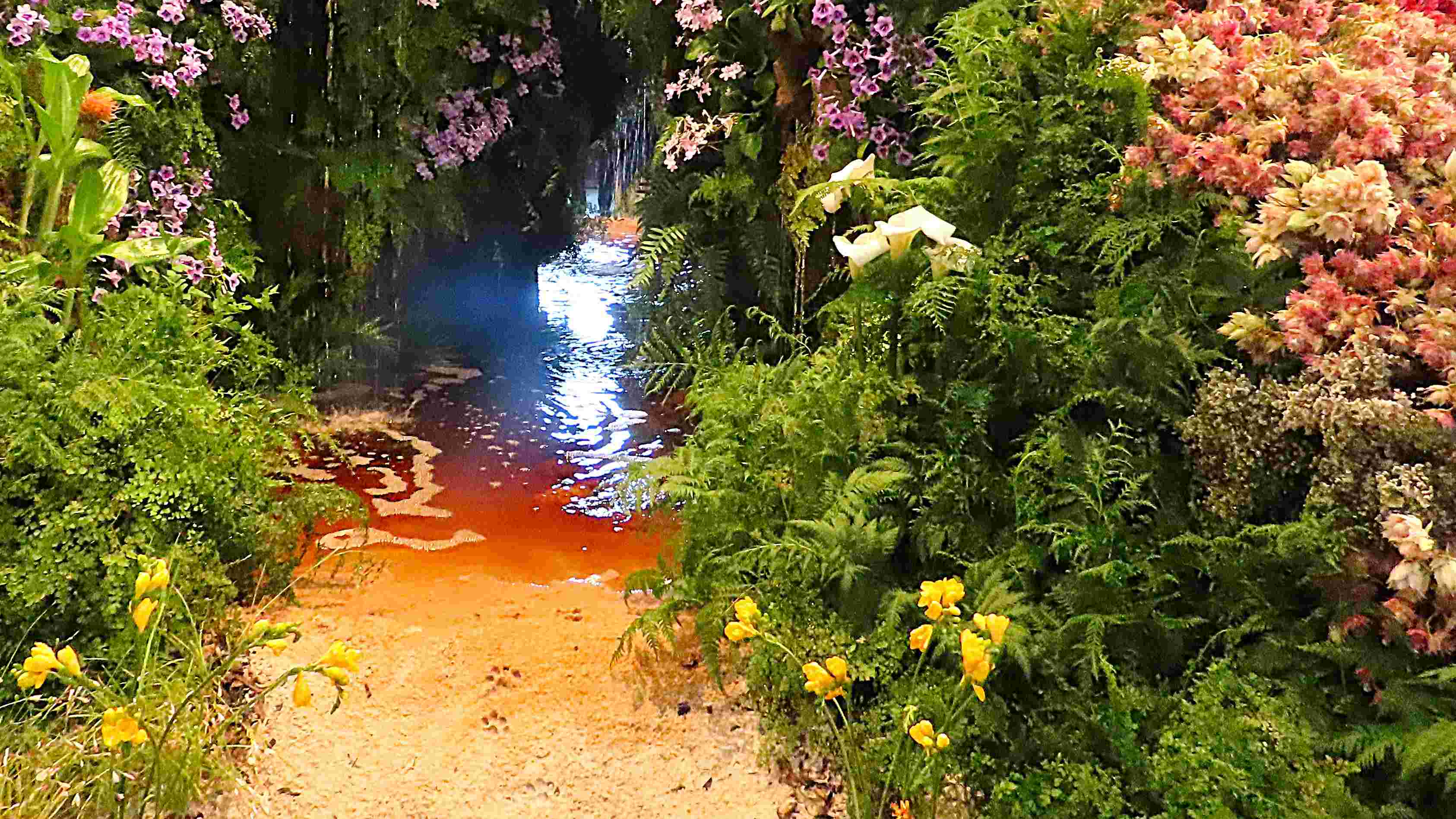 Visiting the Stanford Chelsea Flower Show | Adventuring into Retirement